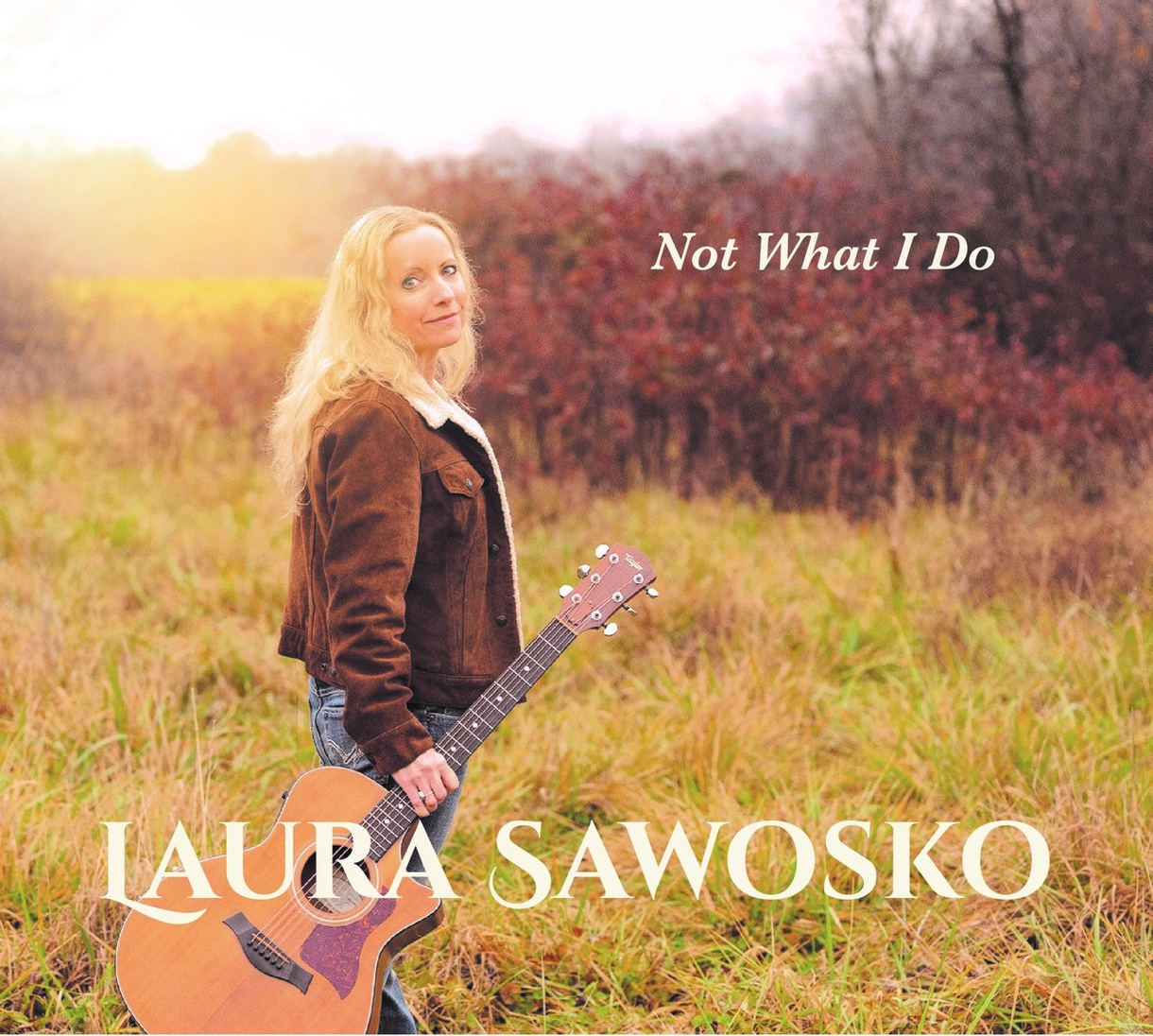Accolades Accrue for Singer/Songwriter Laura Sawosko - PLA Media